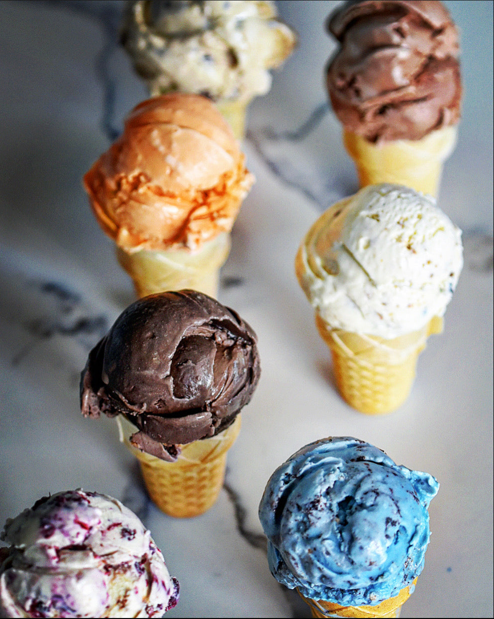 Two Dog Night Creamery